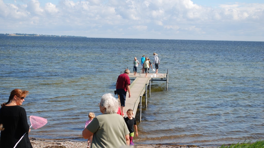 Beaches | VisitLolland-Falster