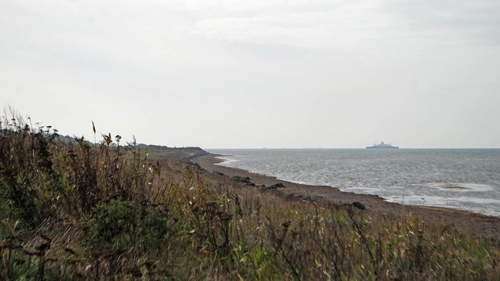 Strande | VisitLolland-Falster