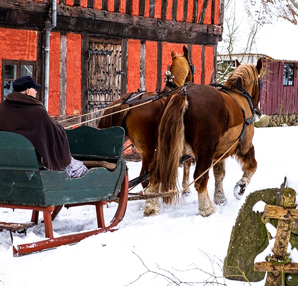 Jul i Odense | VisitOdense