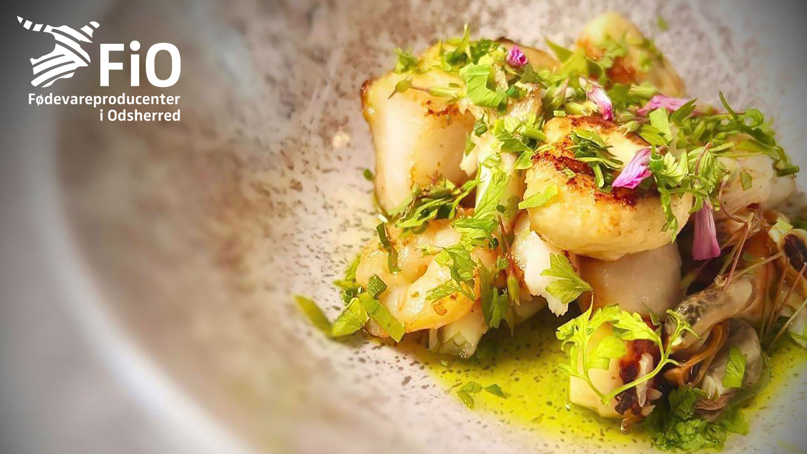 Restauranter | Caféer | Spisesteder | Odsherred